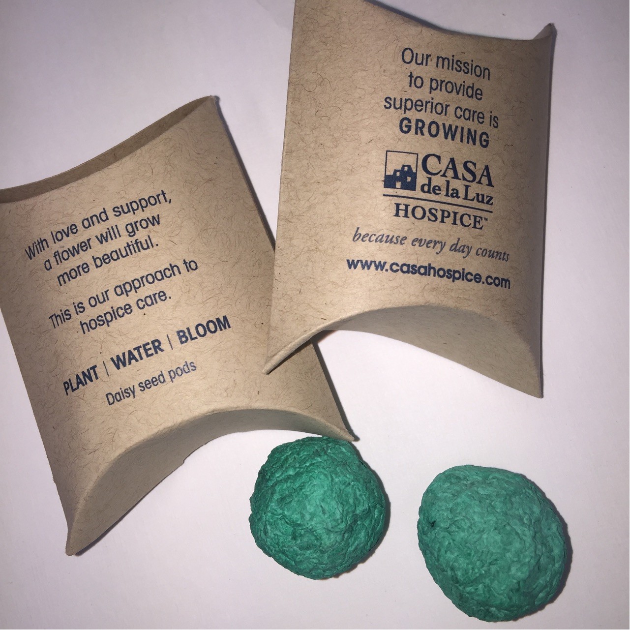 From Paper to Plants: 6 Eco friendly Promotional Giveaways That Grow ...